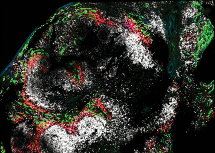 Core facilities - IRB USI